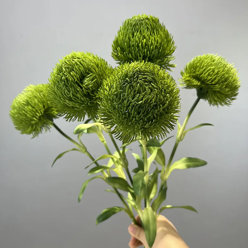 Green Ball Dianthus