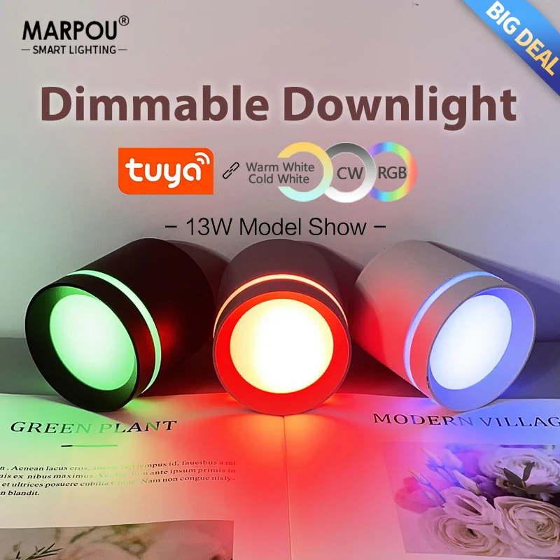 Smart Home LED Downlight Modern Dimmable Spotlights 13W 220V with Tuya ...