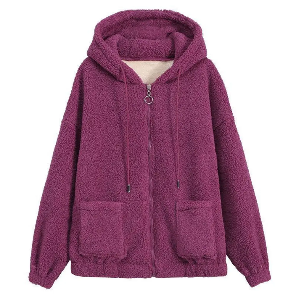 Hoodie Long Sleeve Plain Heavyweight Micro-Elasticity Loose Hooded Teddy Jacket For Women