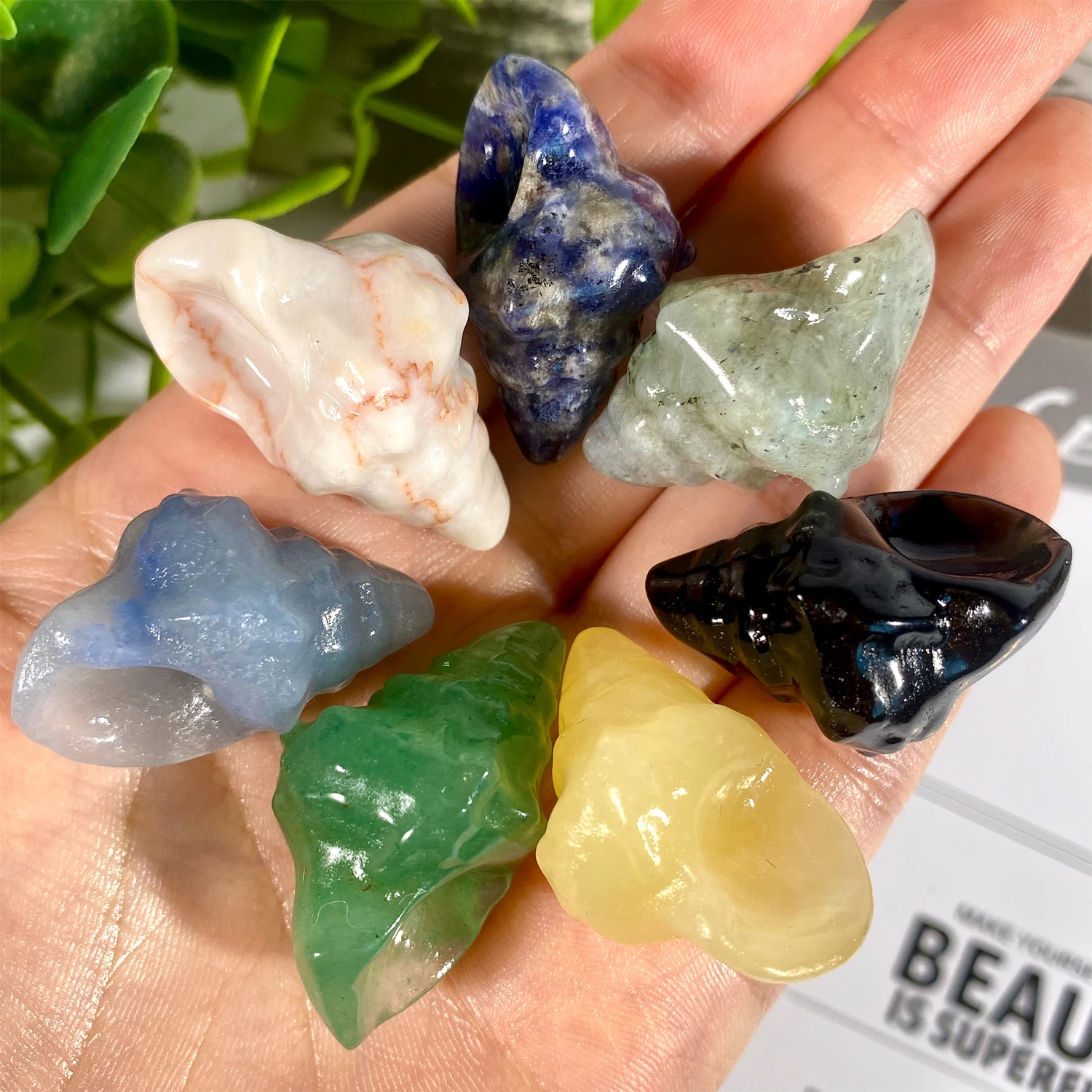 1PC-Natural-Crystal-Sea-Snail-Sculpture-Crystal-Conch-Spiritual-Reiki ...