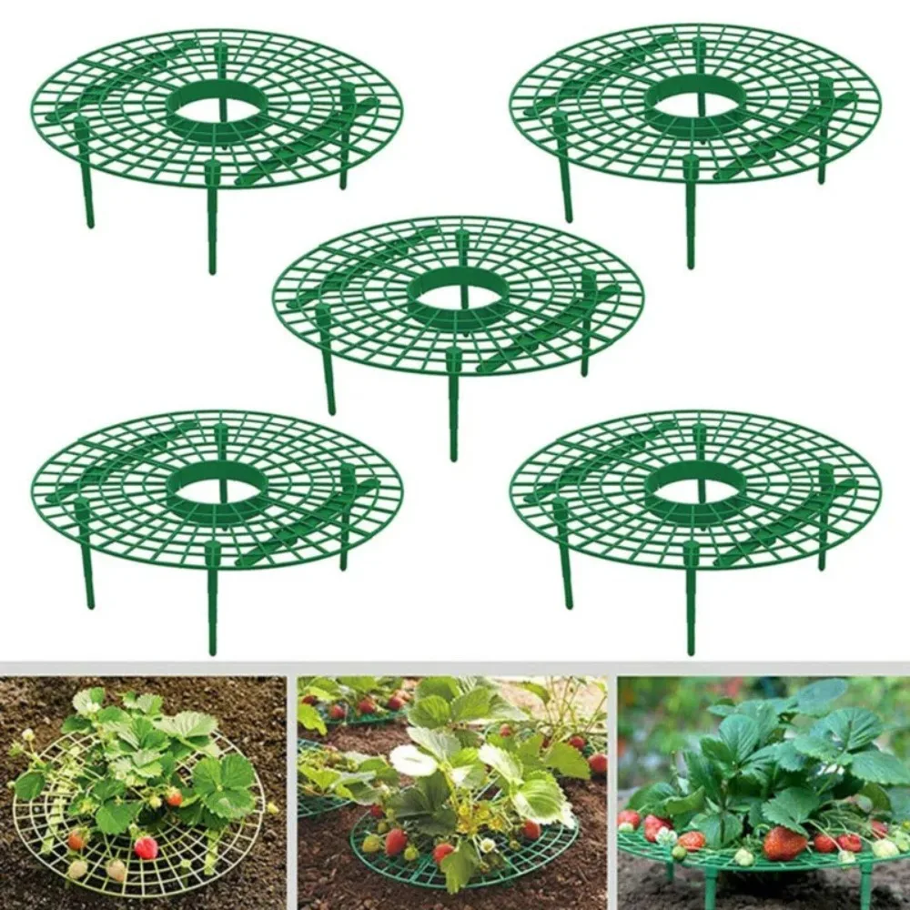 Climbing-Vine-Pillar-Strawberry-Stand-Frame-Holder-Garden-Tools-1-5PCS ...