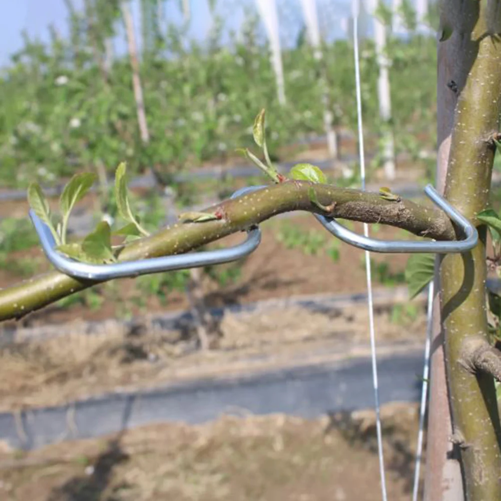 Metal Tree Branch Support