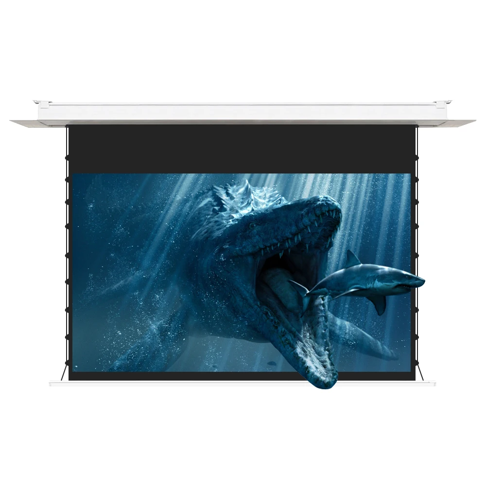 2024-NEW-120-inch-4k-Black-Diamond-Motorized-Drop-Down-projection ...