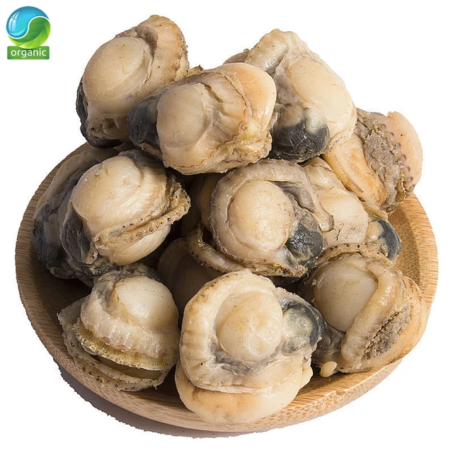 Whole Scallops In Shell