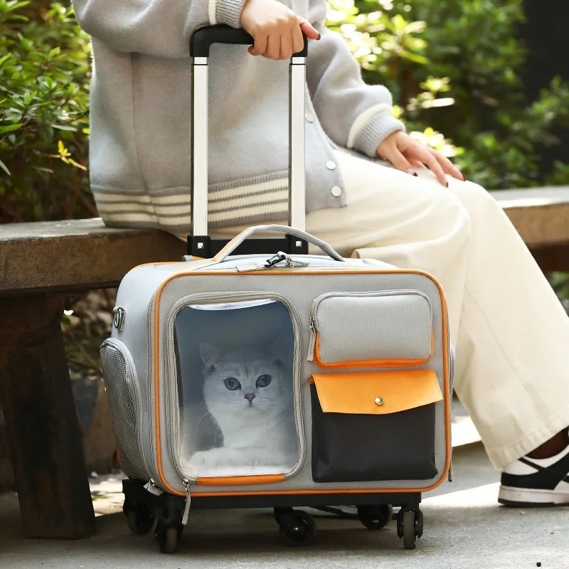 Pets Go Out with Portable Trolley Cases Suitcases Small Dogs Cats Can ...
