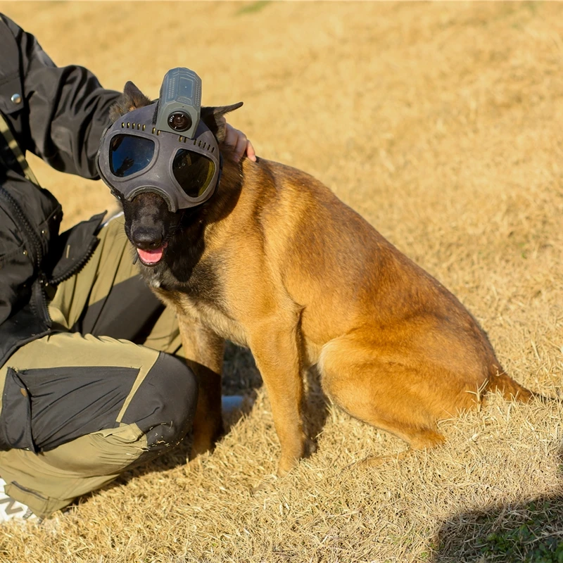 K9 Tactical Dog Helmet with Ear Protection and Accessory Rails - Safety ...