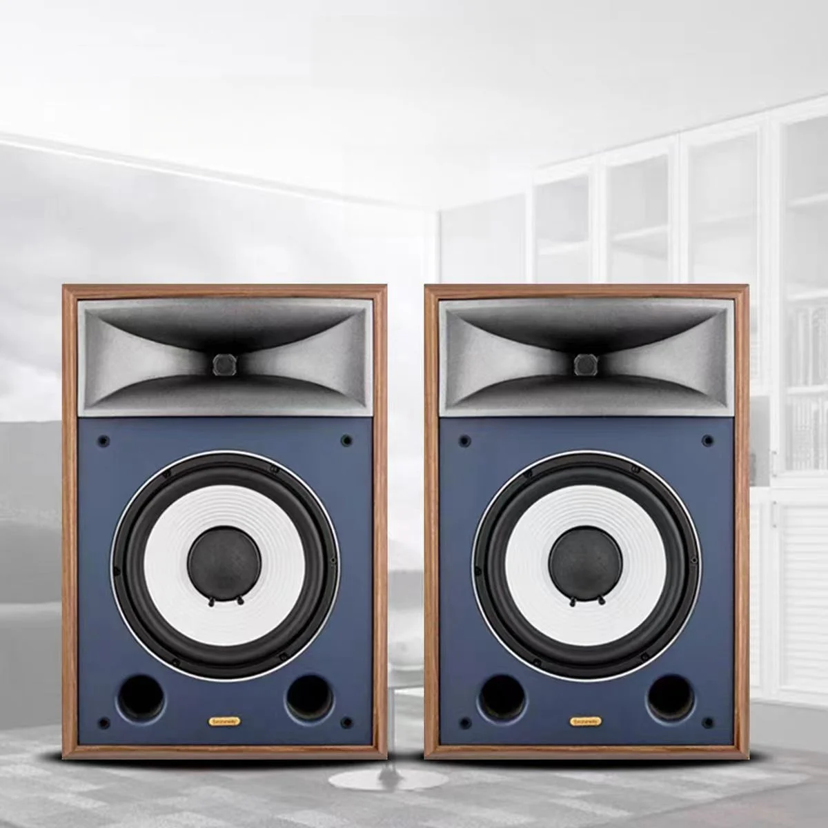 A-495-HIFI-10-Inch-Horn-Monitoring-Bookshelf-Speaker-Wide-Angle-Horn ...