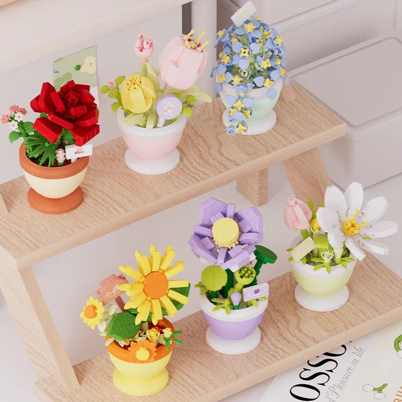 New Flower Pots, Immortal Flowers, Succulent Building Blocks, Roses And ...