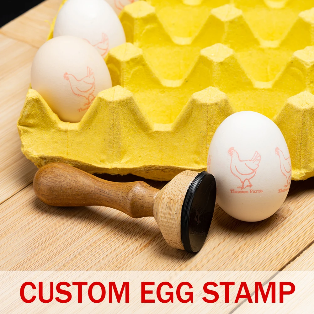 Sd88cce43f9c8438baffa692a4143669cw.jpg