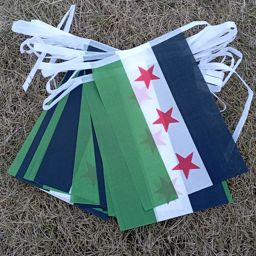 Aerlxemrbrae 14*21cm 20PCS 5Meter Syria flag The Syrian character ...