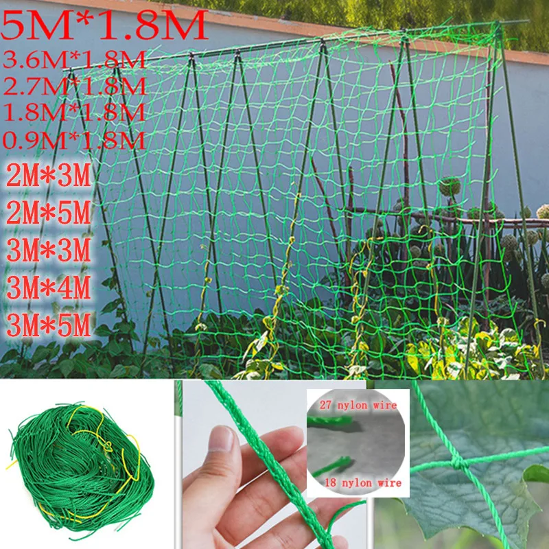 Garden-Plants-Climbing-Net-Plastic-Nylon-Net-Morning-Glory-Flower-Vine ...