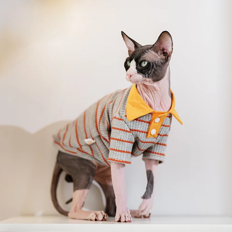 Sphynx-Cat-Clothes-Striped-T-shirt-Hoodies-For-Sphinx-Hairless-Cat ...