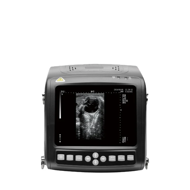 BTS-portable-5-7-LED-screen-cattle-ultrasound-machine-pregnancy ...