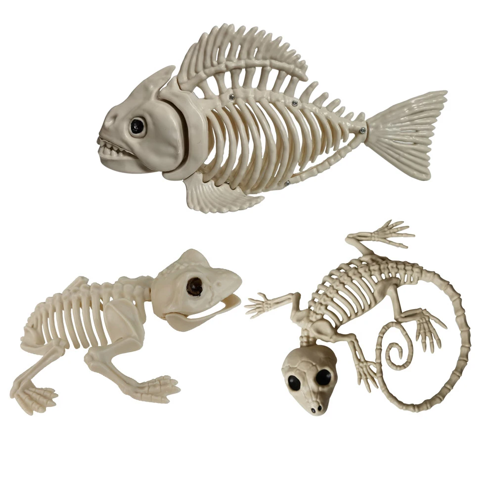 Halloween Animal Skeleton Bones Horror Piranha Fish Gecko Frog ...