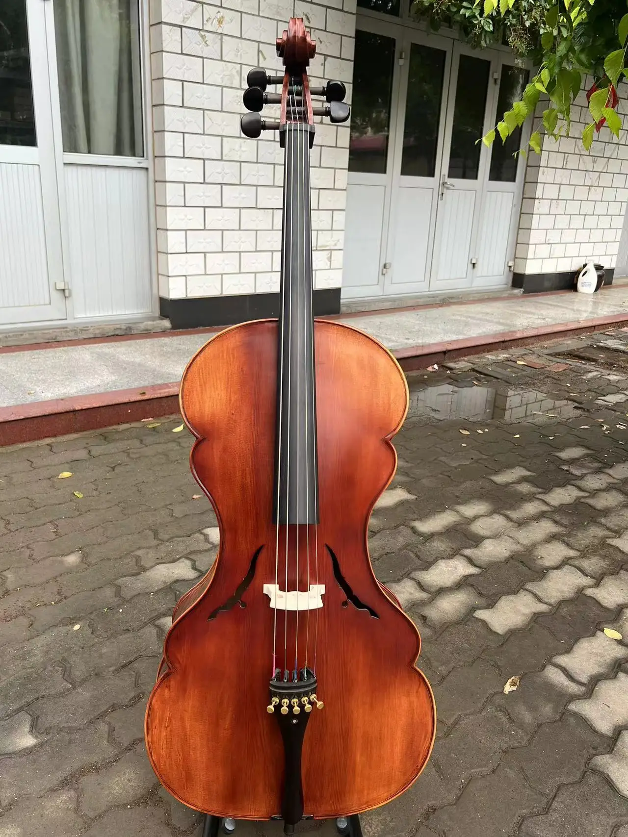 Baroque String Instruments