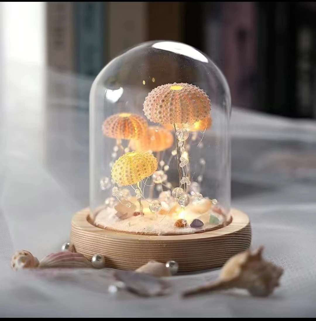 DIY-material-package-sea-urchin-shell-jellyfish-lamp-circular-small ...