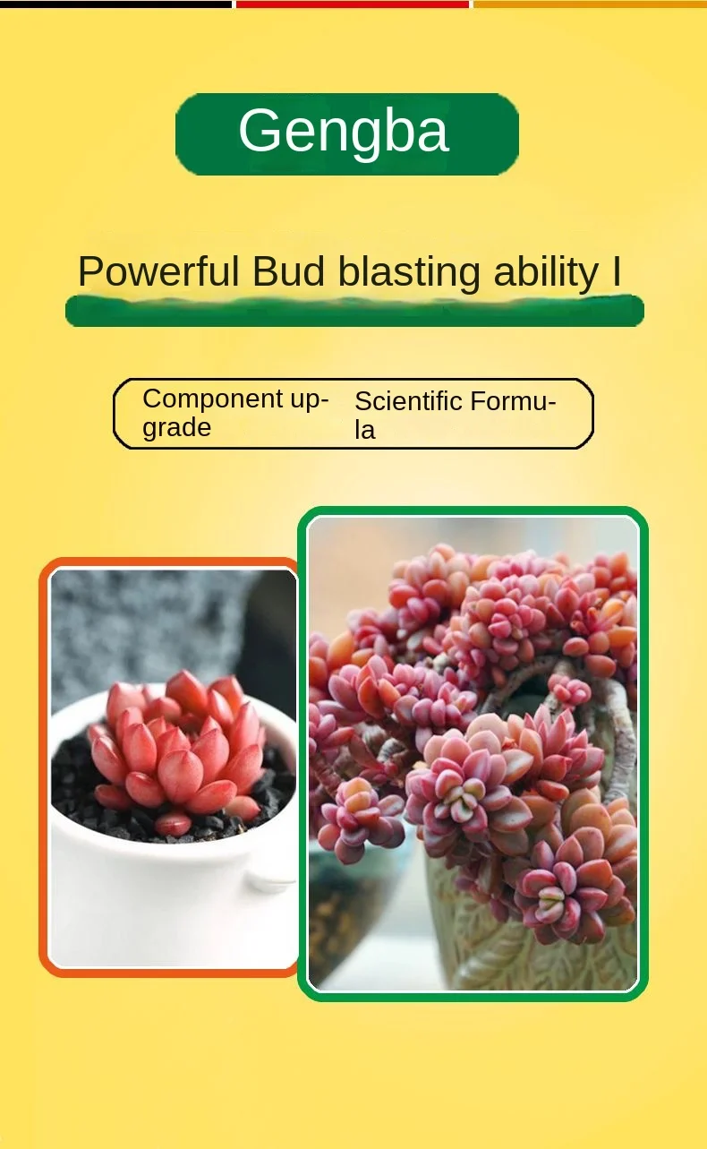 Sprouts Booster – Old Garden Shop