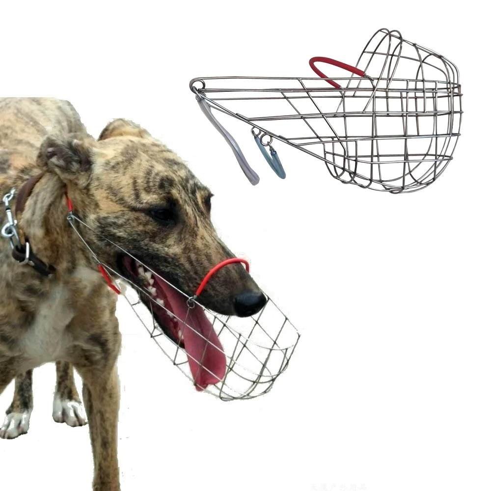Why Do People Put Muzzles On Greyhounds