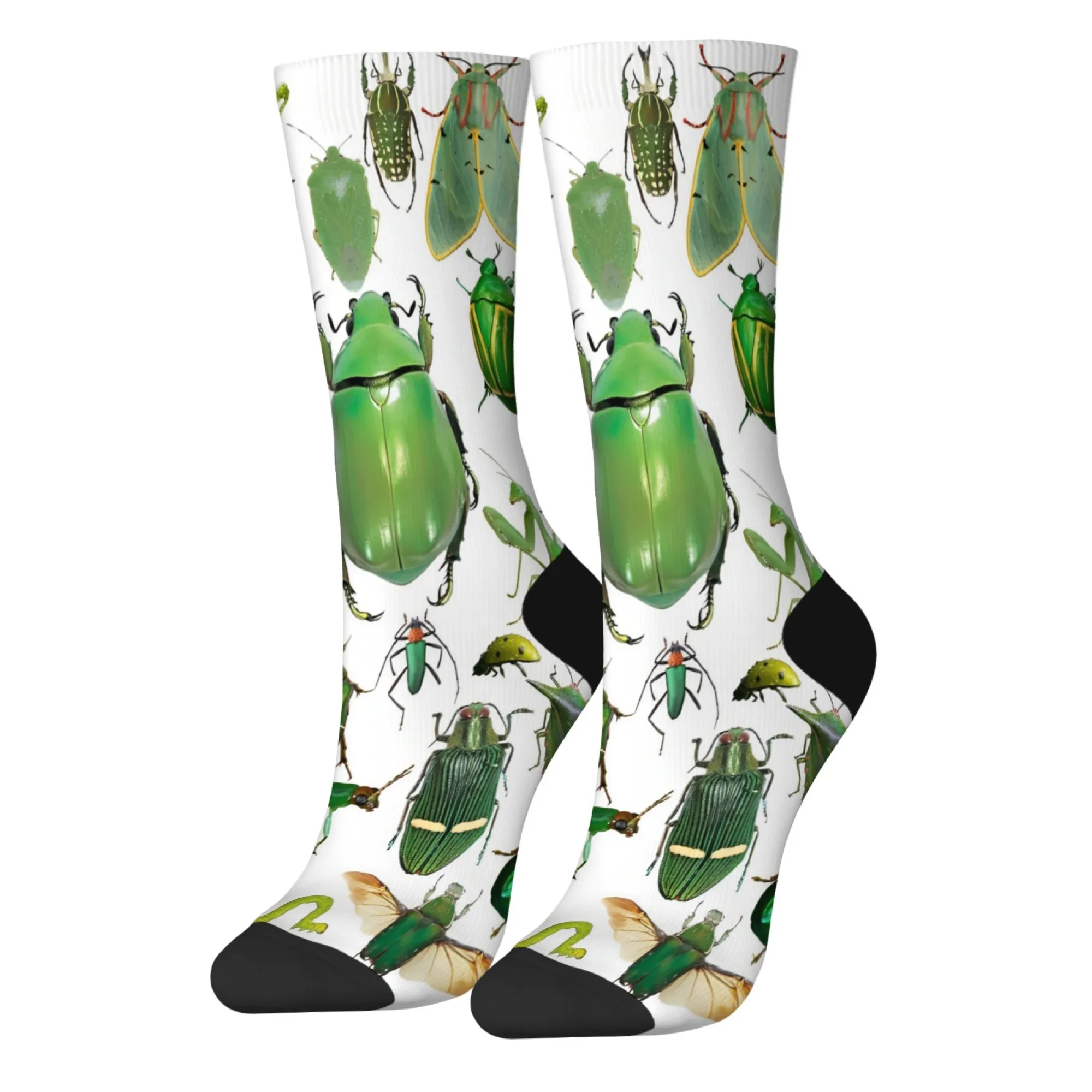 Isopods Insect Animal Socks Spring Wlidlife Stockings Modern Men's ...