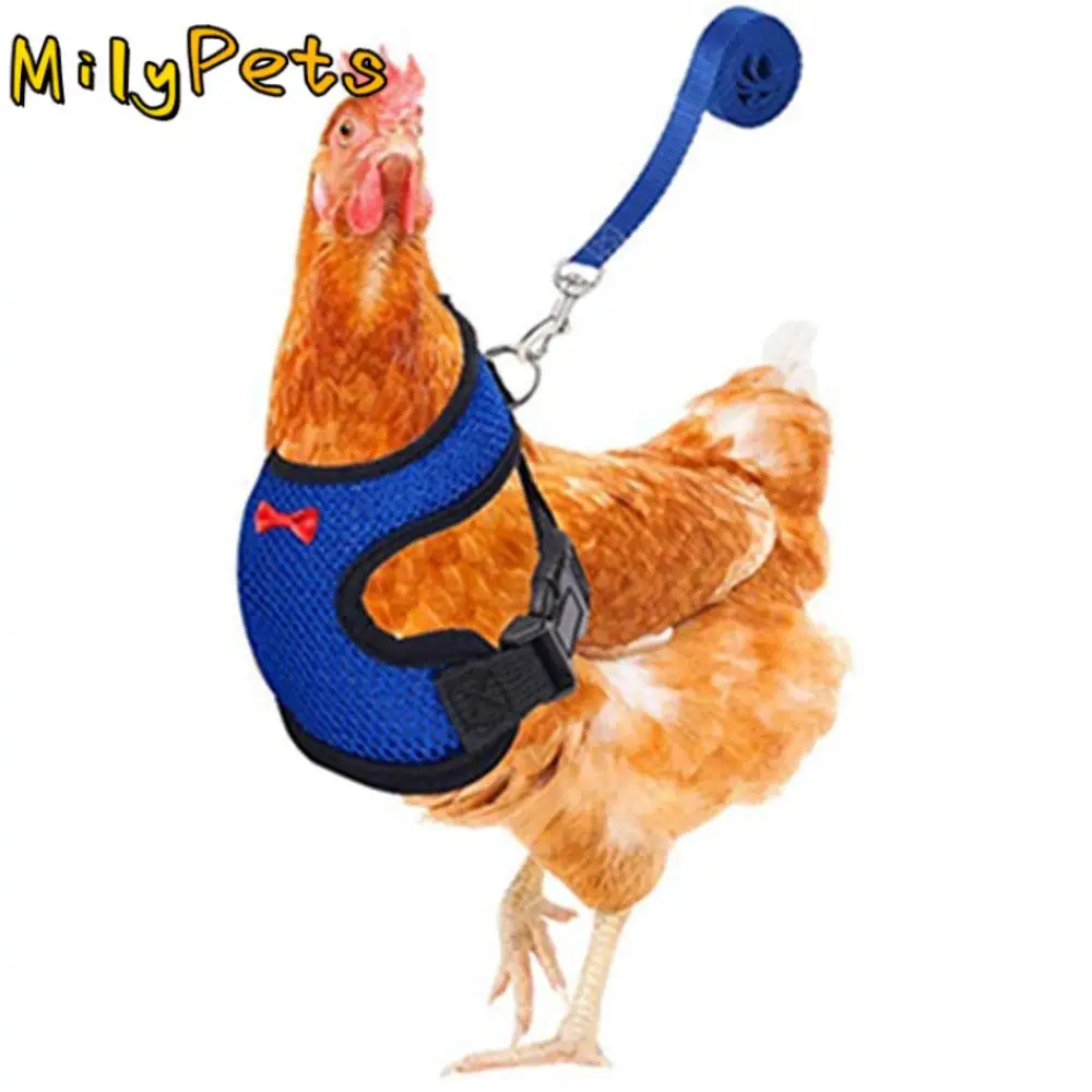 Sd94b3260ffa44fa4ae61786a4a5411ecT.png
