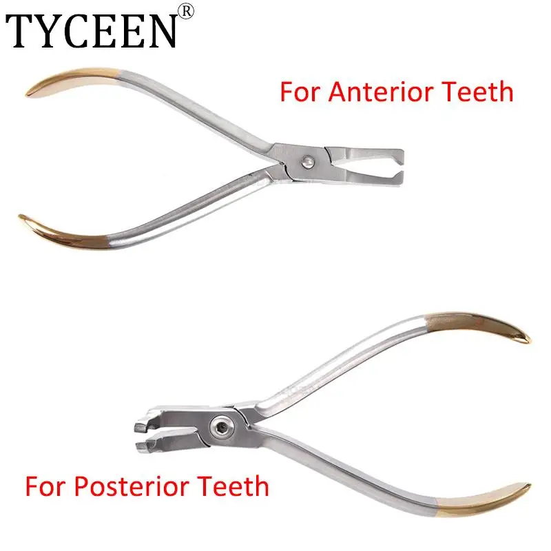 Posterior Anterior Teeth