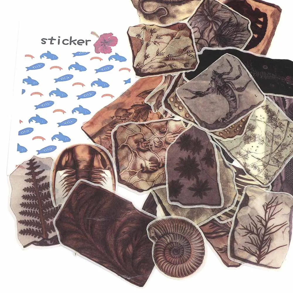 Retro-Washi-Paper-Stickers-Fossil-Rock-Sticker-Scrapbooking-Label ...