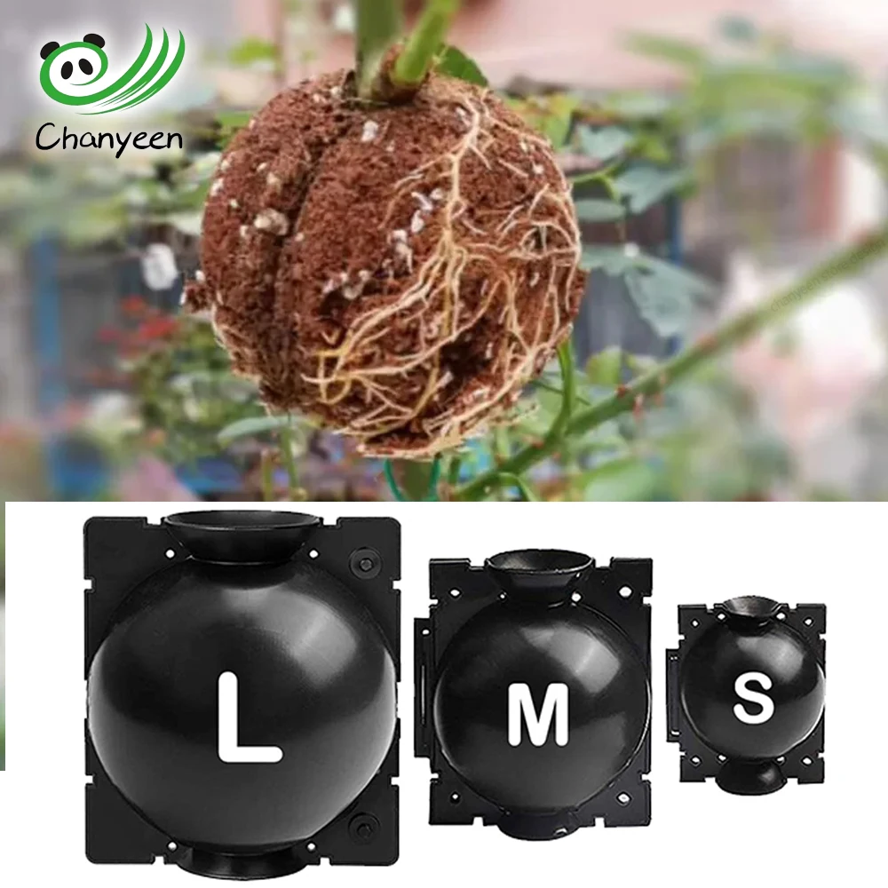 Plant-Rooting-Grow-Ball-Transplant-Nursery-Ball-Sapling-Propagation ...