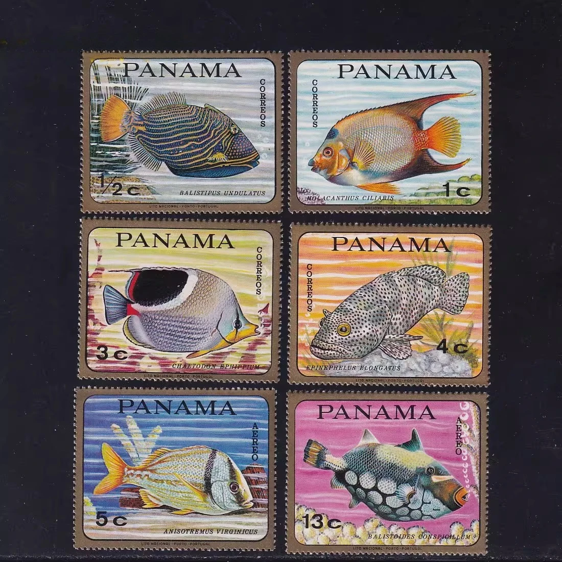 6Pcs/Set New Panama Post Stamp 1968 Coral Fish Cannonball Fish Postage ...