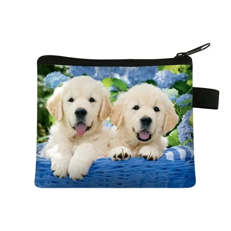 Golden-Retriever-Labrador-Pomeranian-Coin-Bags-Cute-Dog-Wallet-Credit ...
