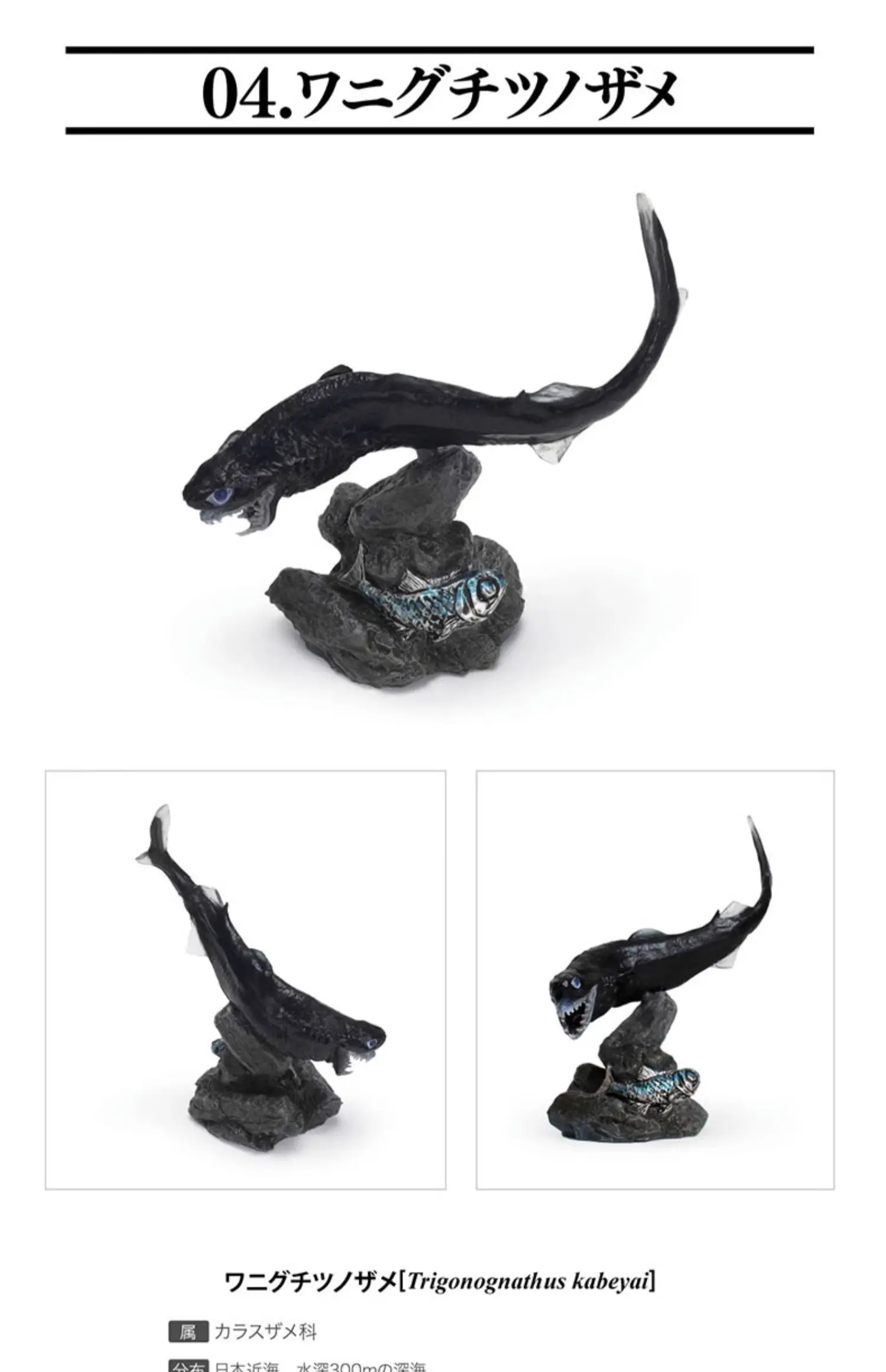 BANDAI-Mini requin Gashapon Egg Big Seattle Map of Carcharodon Carpros ...