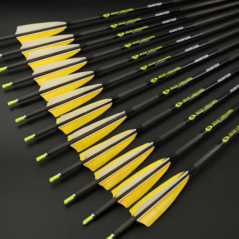 12pcs-Archery-Pure-Carbon-Arrows-ID6-2mm-4-inch-Turkey-Feather-100gr ...