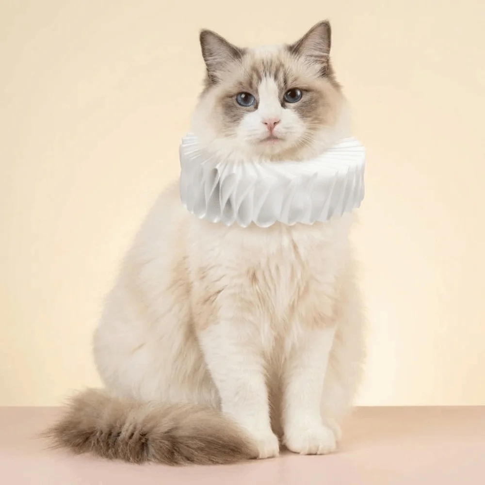 Shakespeare Detachable Neck Ruffled Pet Collar Elegan Vintage Cat ...
