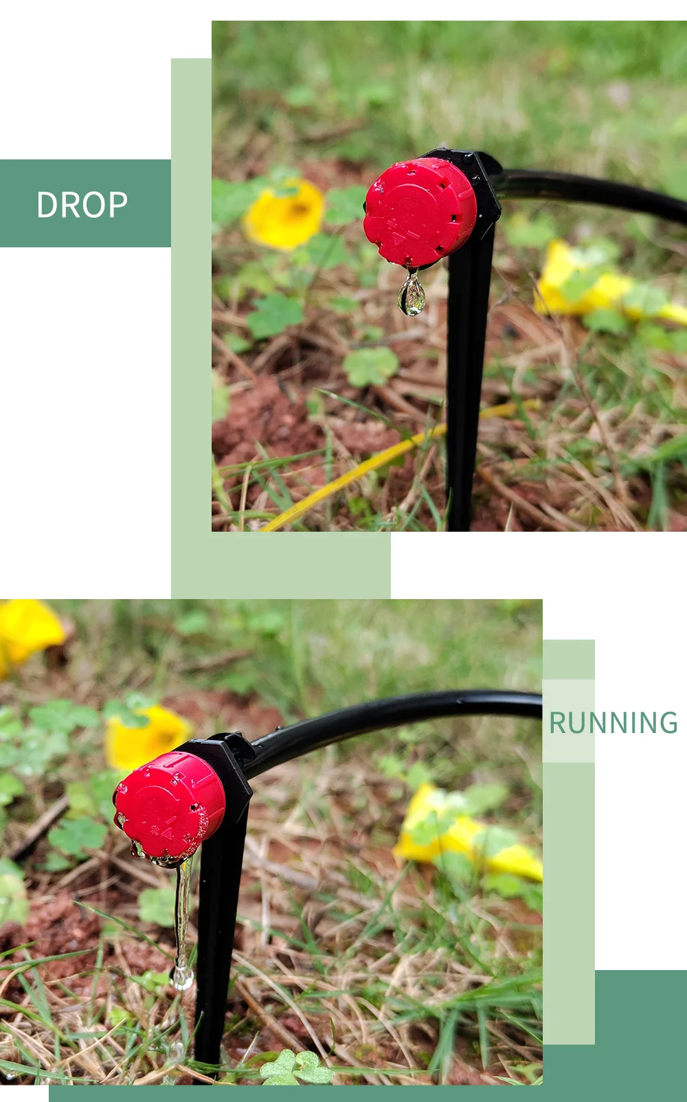 OASIS 50M-5M DIY Drip Irrigation System Automatic Watering Garden Hose ...