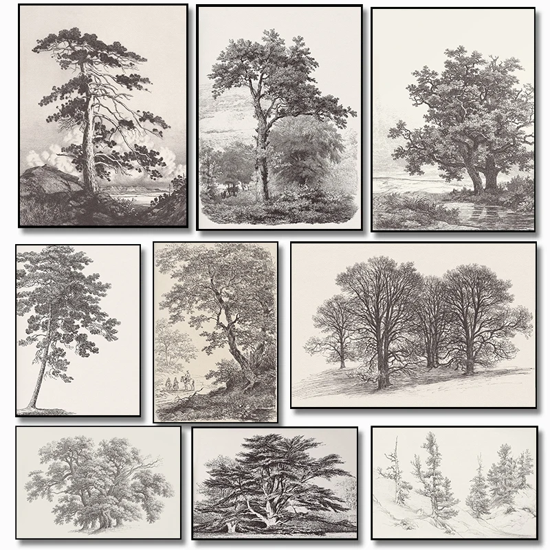 Vintage-Tree-Group-Oak-Tree-Pine-Forest-Sketch-Posters-and-Prints ...