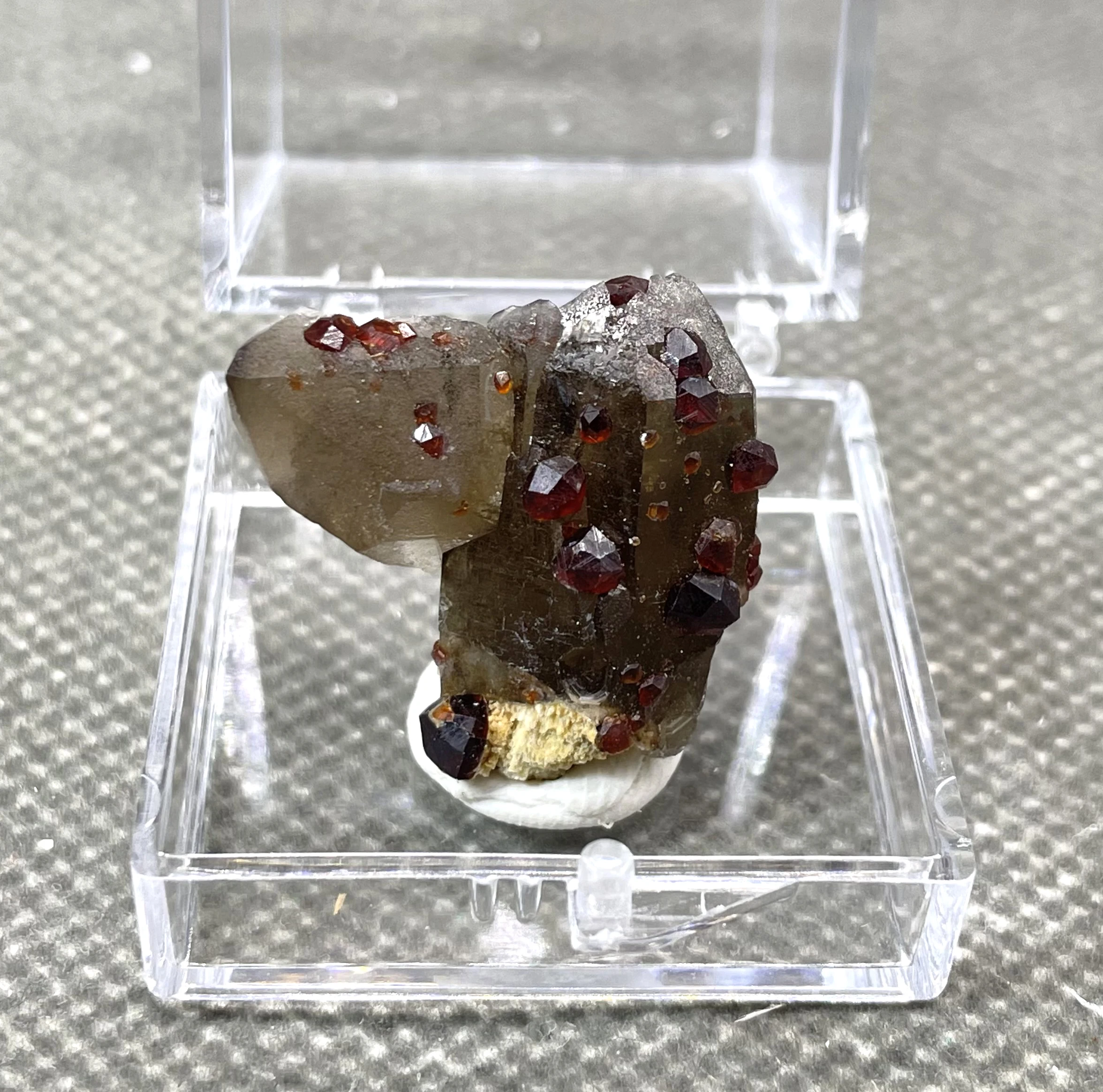 NEW-100-natural-rare-garnet-and-tea-crystal-symbiotic-mineral-specimens ...