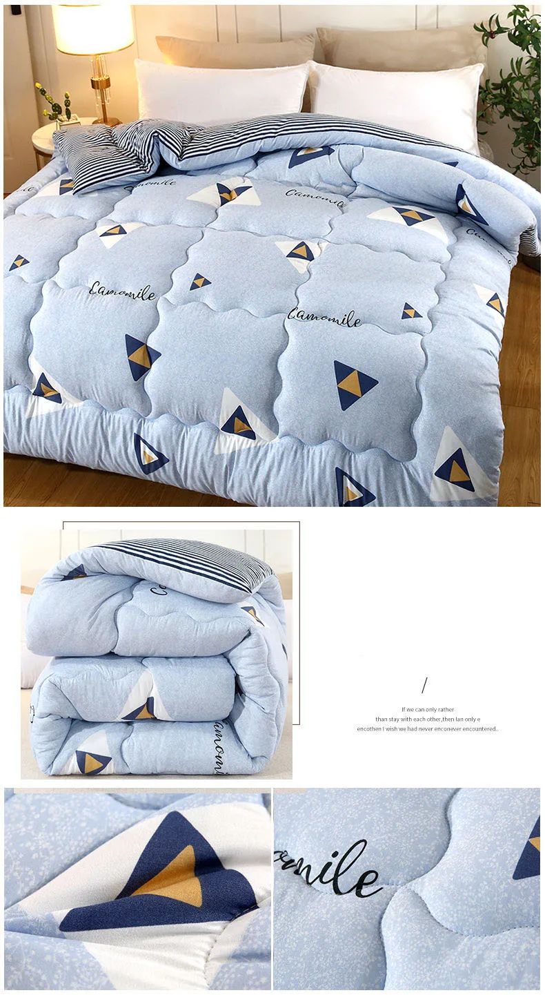 Deodar Winter Thicken Warm Microfiber Filled Fluffy Comforter Core ...