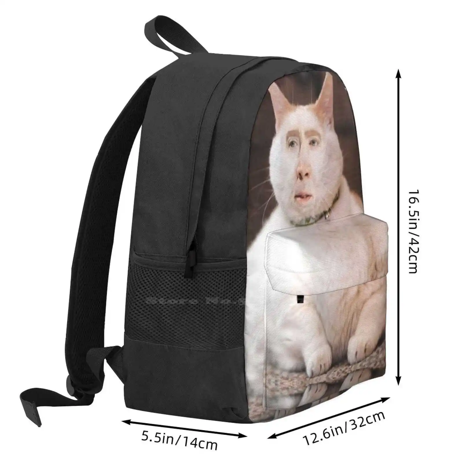 Nicolas Cage Photoshop Cat