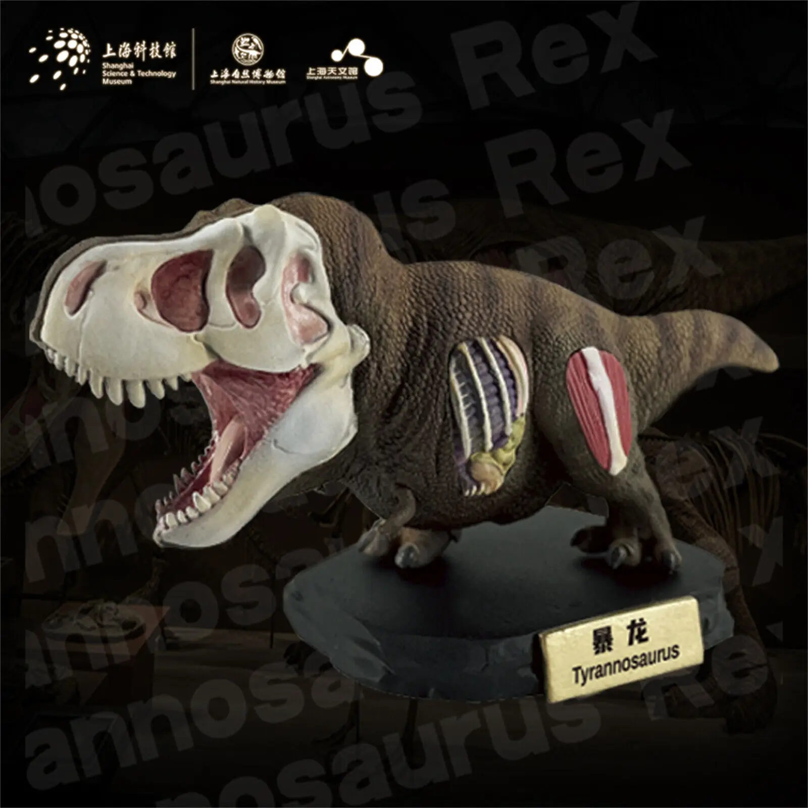 Animal-Planet-Tyrannosaurus-Rex-Model-Dinosaur-Animal-Museum-Limited ...