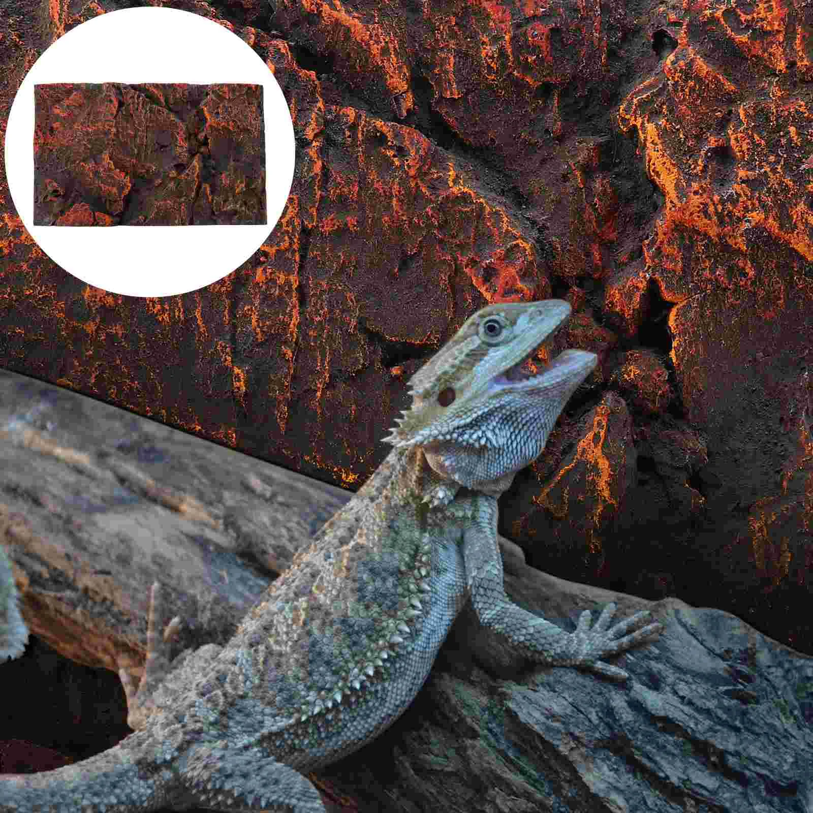 Bearded Dragon Tank Background