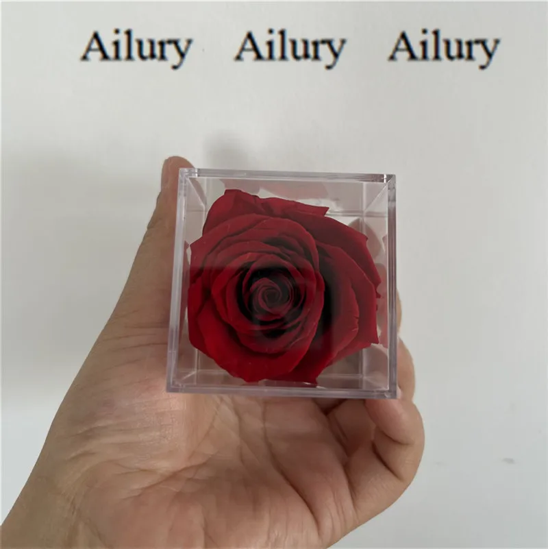 5Cm Small Red/Black Preserved Rose Transparent Square Acrylic Flower ...