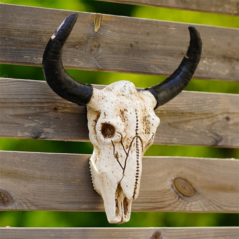 Longhorn Cattle Skull
