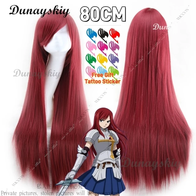 Cauda De Fada Anime Erza