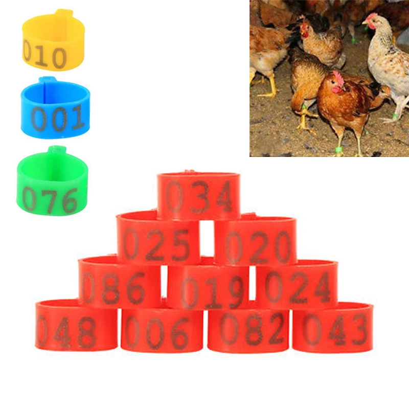 100Pcs-16mm-Clip-on-Ankle-Ring-Numbered-Leg-Rings-Chickens-Leg-Rings ...