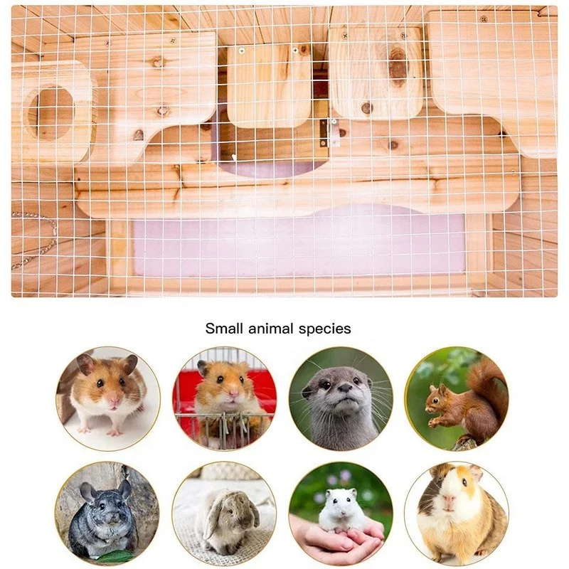 Hamster Breeds Chart