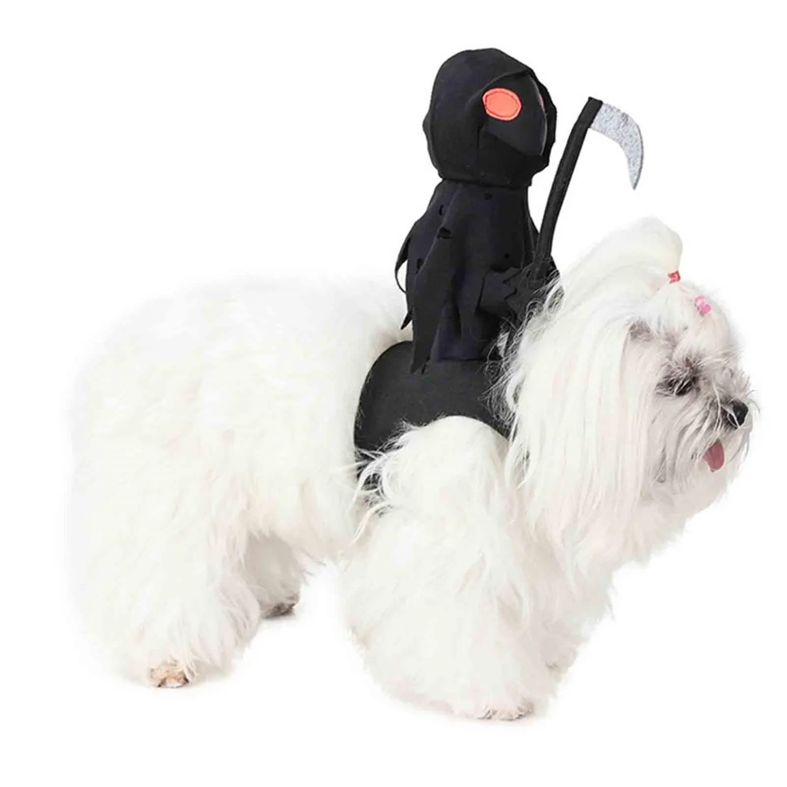 Halloween Skeleton Dog Costume – Pet Outfit for Medium & Large Dogs ...