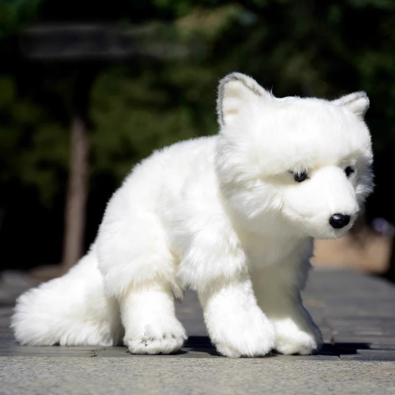 Arctic-Fox-Plush-Stuffed-Animal-Plush-Toy-Gifts-for-Kids-Cuddlekins-12 ...