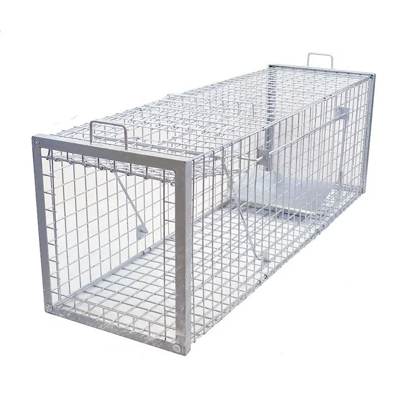 Foldable-Steel-Trap-Cages-humane-live-multi-catch-animal-trap-cage ...