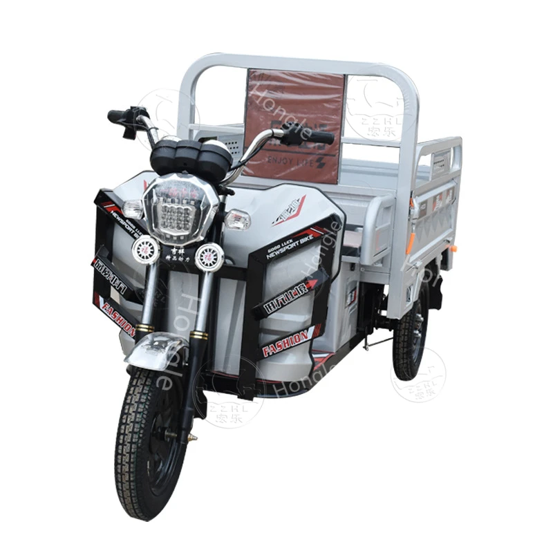 Electric-Tricycle-China-3wheels-Motorcycle-Enclosed-Covered-2-Seat ...