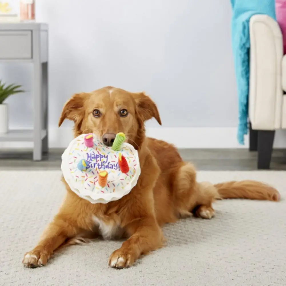 Golden Retriever Birthday Cake Meme