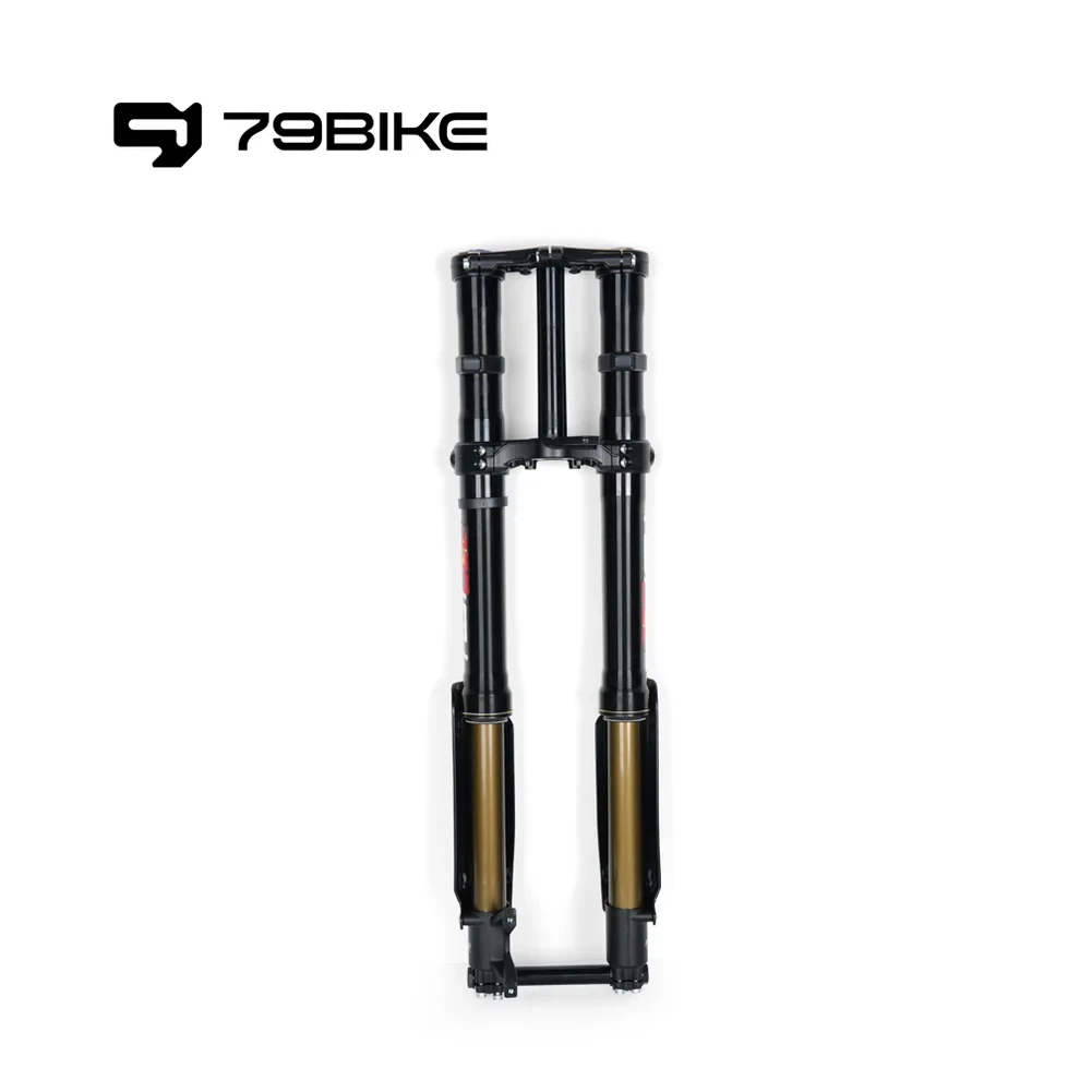 79bike Electric dirt bike OEM Original Parts 79Bike Falcon Pro FastAce ...